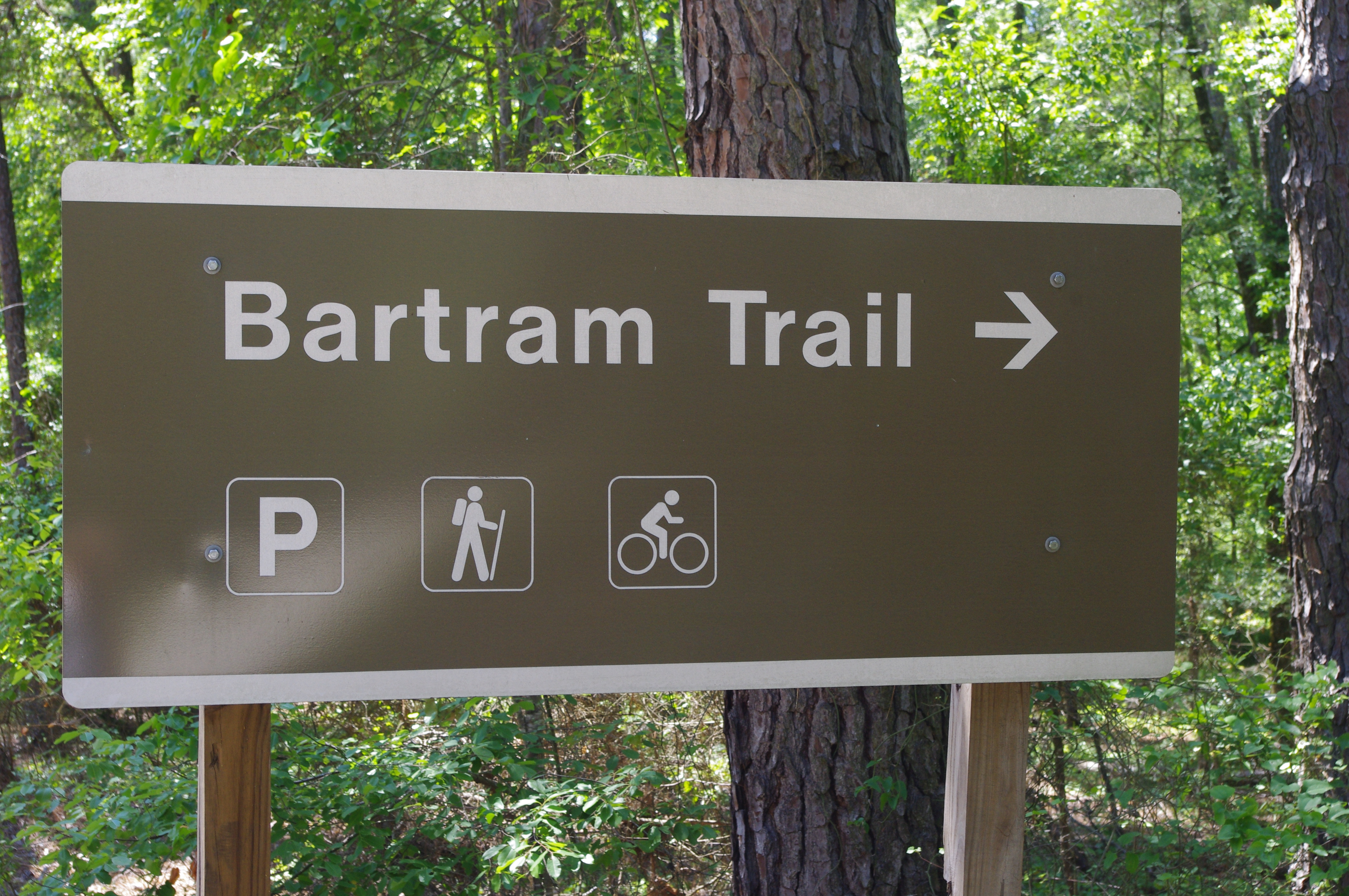 Bartram Trail Logo